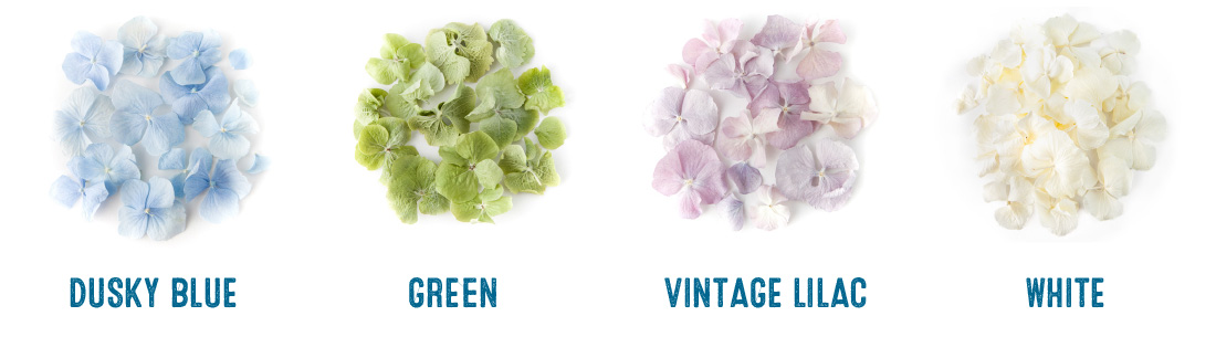 Hydrangea Petal Confetti - The Real Flower Petal Confetti Company