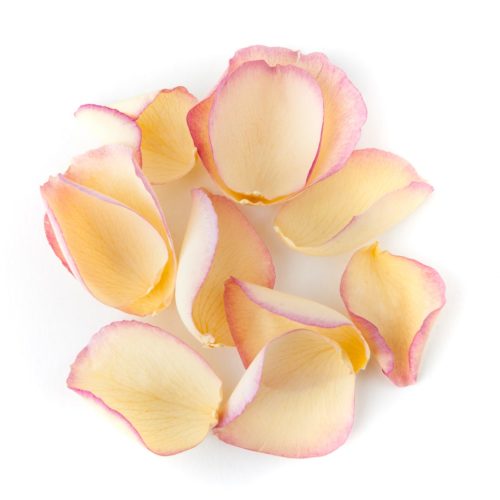 Single Colour Confetti Petals - Real Flower Petals - 100% Biodegradable