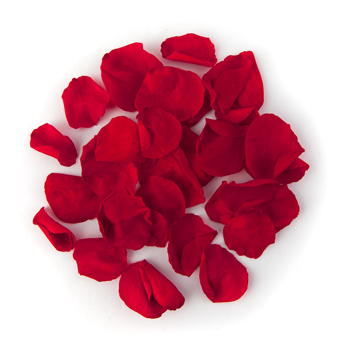 Red Coloured Rose Petal Sample Real Flower Petal Confetti Co Red Coloured Rose Petal Sample Real Flower Petal Confetti Co