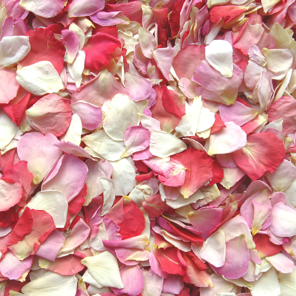 Bespoke Confetti Samples: Find your Perfect Petals