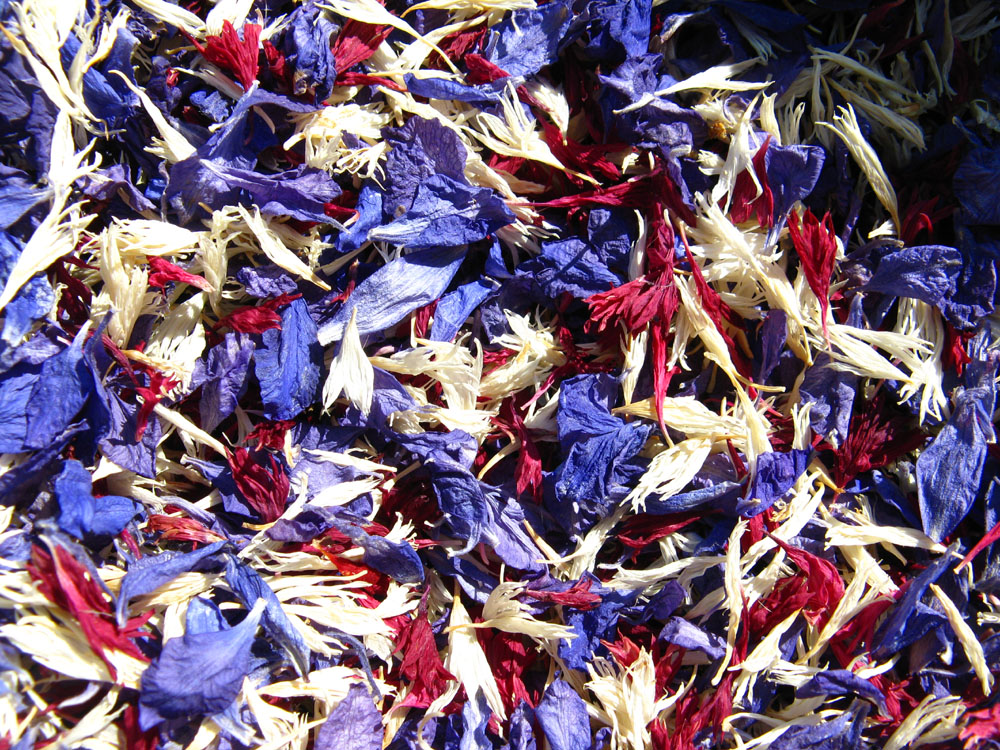 Petal Confetti - A guide to your Real Flower Petal Wedding Confetti options