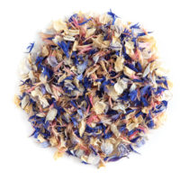 Confetti Flower Field at Wick, Pershore, Worcestershire - delphiniums