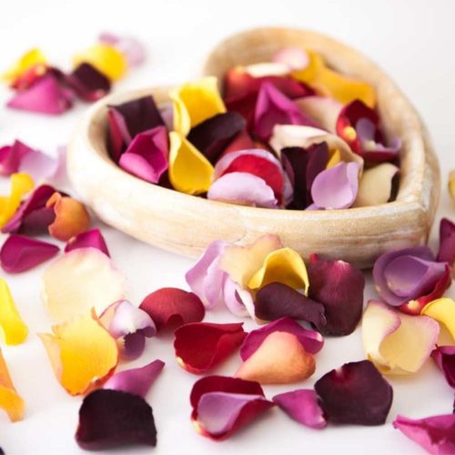 Memorial Petals for Scattering at Funerals, Burials and Services