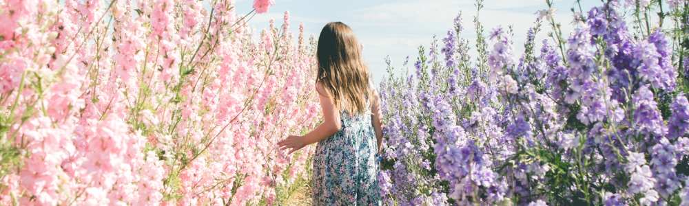 Flower Field Gallery - Photos from The Confetti Flower Field